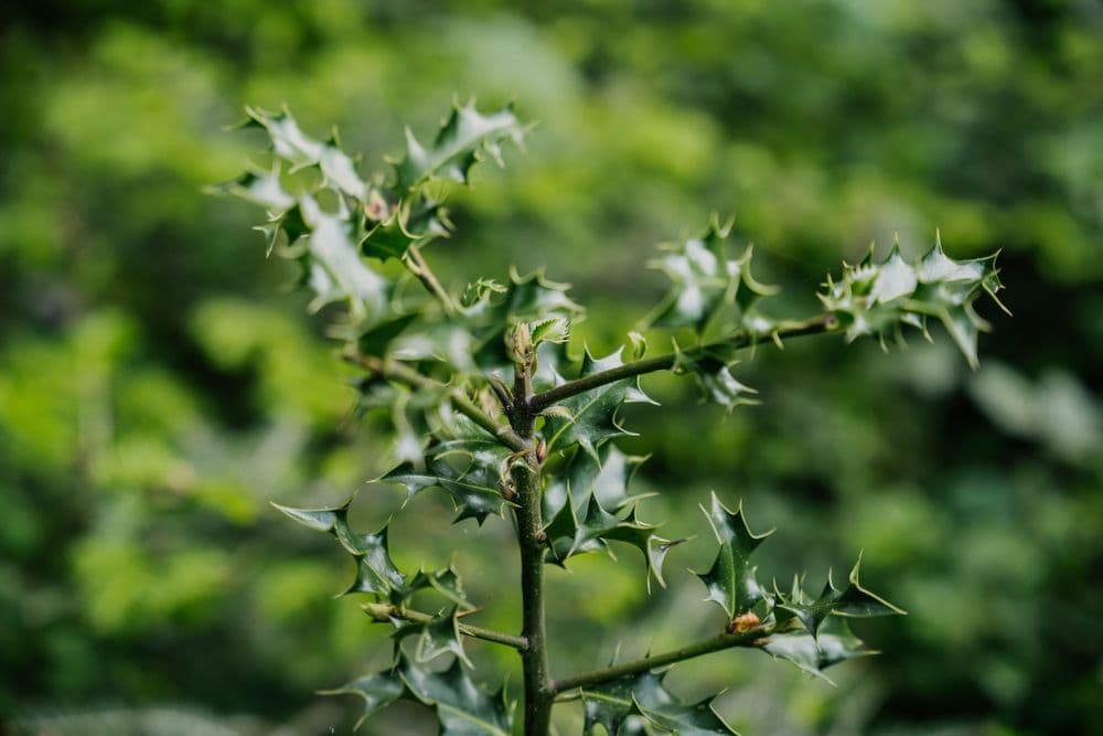 Why the Current Compensation Model is Failing Us - Tree.ly