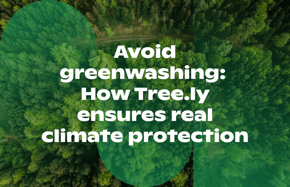 Climate protection instead of greenwashing - Tree.ly