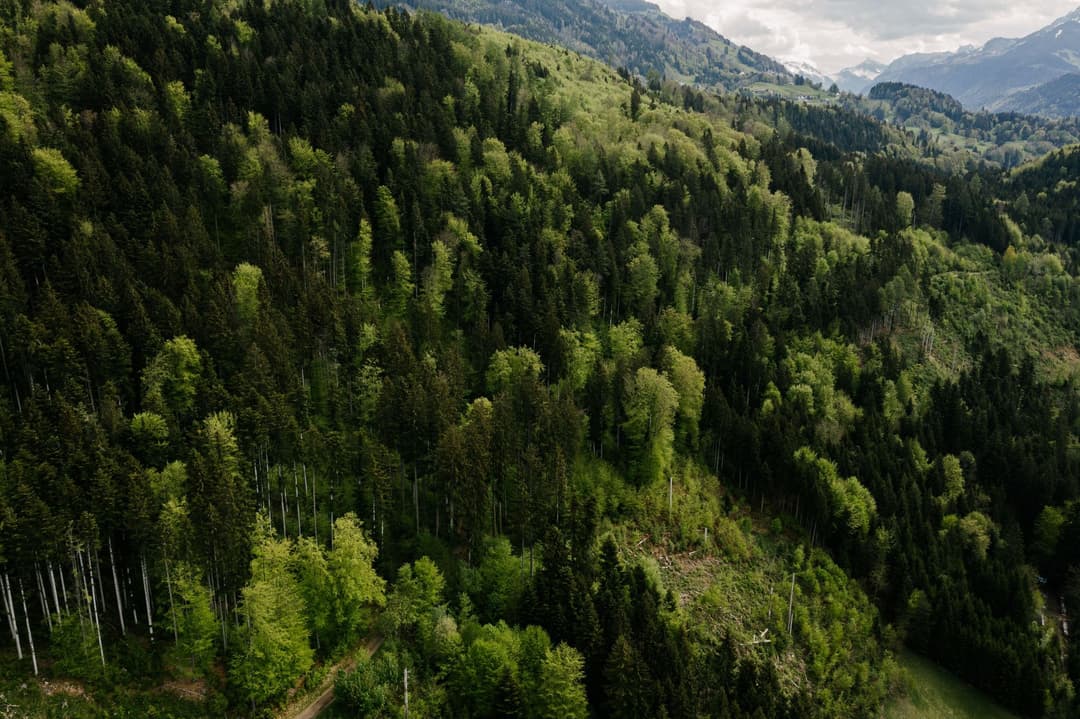 Kappa Private Foundation - Tree.ly